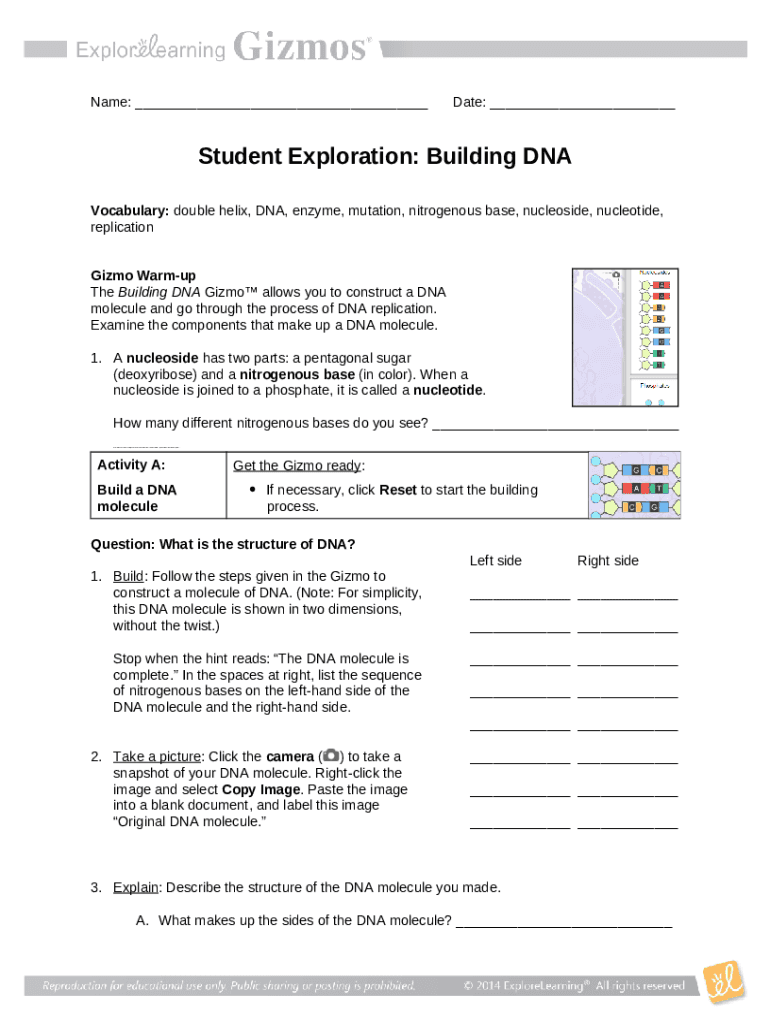 Building DNA Gizmo - Student Exploration: Building DNABuilding DNA ...