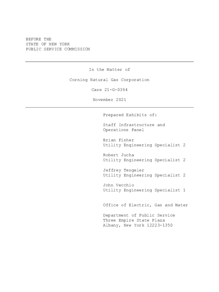 Fillable Online documents.dps.ny.govsearchHomeBEFORE THE STATE OF NEW YORK PUBLIC SERVICE ...