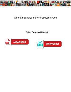 Fillable Online Automobile Insurance Motor Vehicle Inspection ...