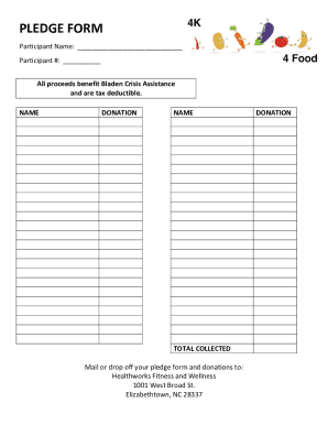Fillable Online myexceltemplates.comdonation-pledge-formDonation Pledge ...