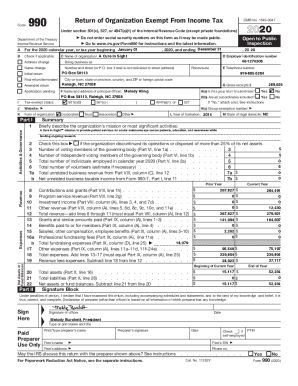 Fillable Online 2020 Form IRS 990 Fill Online, Printable, Fillable ...
