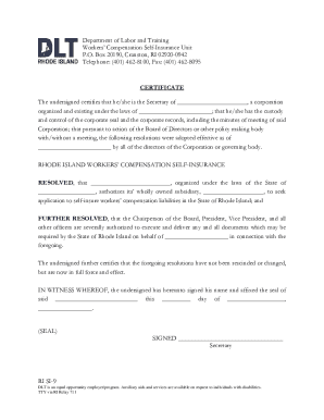 Fillable Online dlt ri ri si 9 Certificate.doc Fax Email Print - pdfFiller