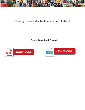 Fillable Online Driving Licence Application Northern Ireland. Driving ...