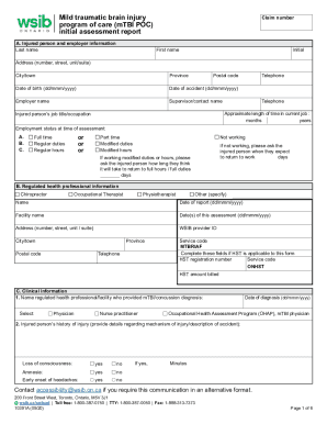 Fillable Online Mild traumatic brain injury program of care (mTBI POC ...