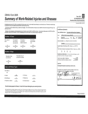 Fillable Online hr unc OSHA's Form 300A (Rev. 01/2004) Summary of Work ...