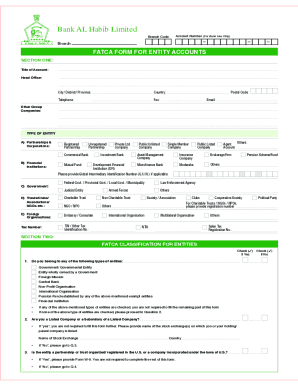 Fillable Online Overseas Fatca Form Entity (Irshad Haider) Fax Email ...
