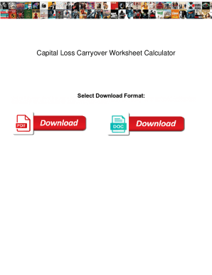 Fillable Online Capital Loss Carryover Worksheet Calculator. Capital ...