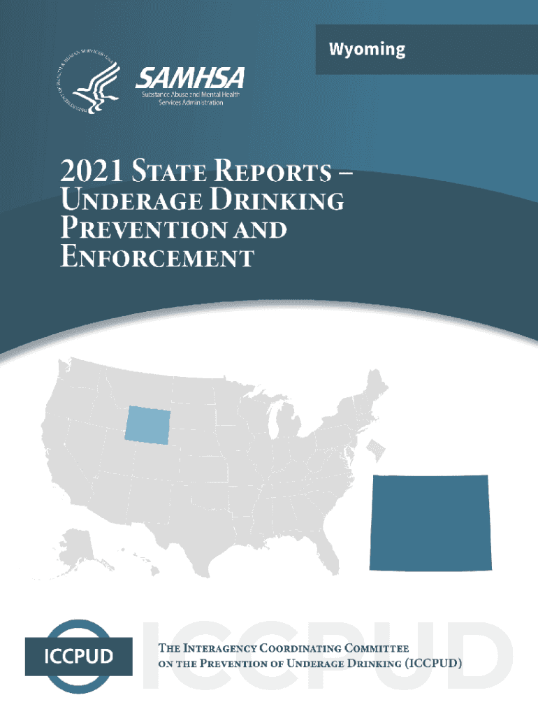 Fillable Online WY State Reports Underage Drinking Prevention and ...