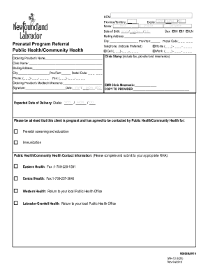 Fillable Online Welcome to Digital Government and Service NL Fax Email ...