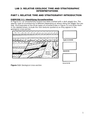 Fidelis Care Prior Auth Form - Fill Online, Printable, Fillable, Blank ...