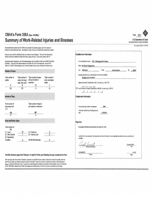Fillable Online OSHA's (Rev. 01/2004) Summary of Work-Related Injuries ...