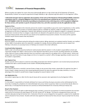 Fillable Online Statement of Financial Responsibility Responsibility ...
