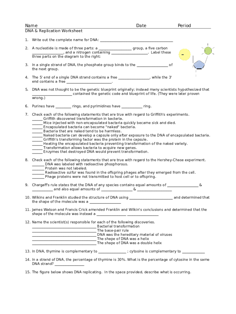 DNA and replication worksheet answers (1).doc - Name Date... Doc ...