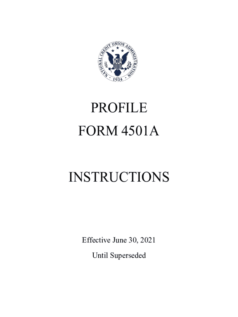 Fillable Online PROFILE FORM 4501A INSTRUCTIONS - National Fax Email Print - pdfFiller