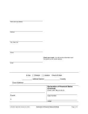 Declaration of Financial Status (Criminal). Declaration of Financial ...