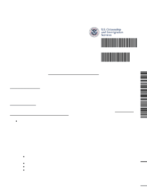 Fillable Online REQUEST FOR EVIDENCE (FORM I-485) Fax Email Print - pdfFiller