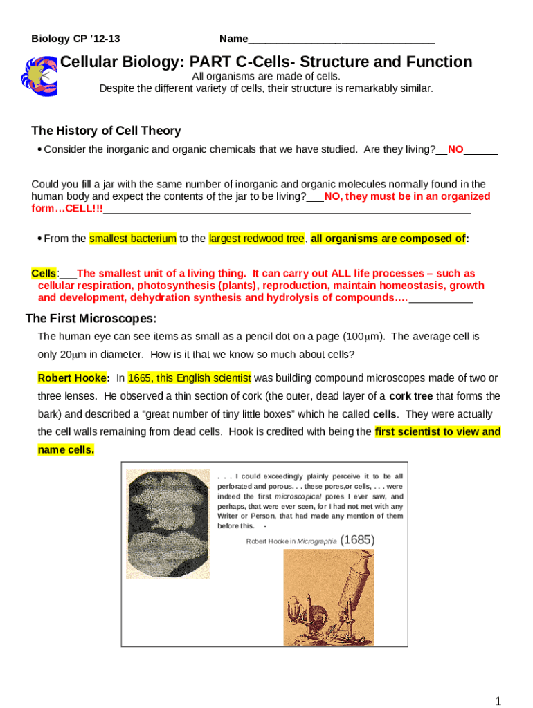 What are cells? Animal and plant cells - KS3 Biology - BBC Bitesize Doc ...
