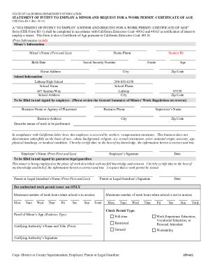 Fillable Online STATEMENT OF INTENT TO EMPLOY A MINOR AND REQUEST FOR A ...