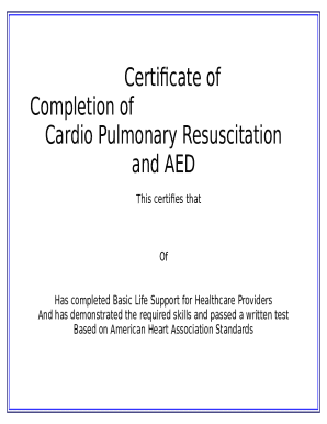 Basic Life Support (BLS) - American Heart Association Doc Template ...