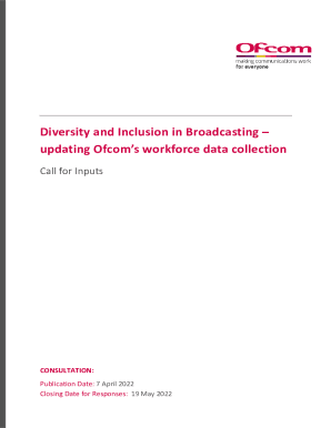 Fillable Online Diversity and Inclusion in Broadcastingupdating Ofcoms workforce data collection ...