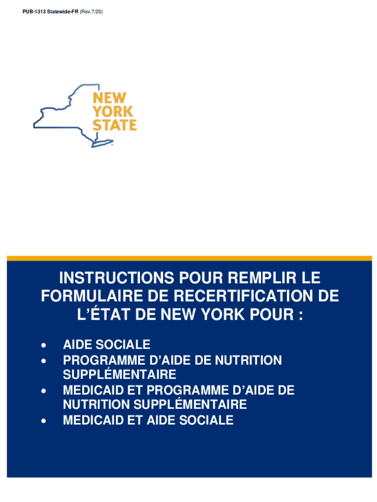 Fillable Online otda ny Pub-1313-FR- Instructions for Completing the ...