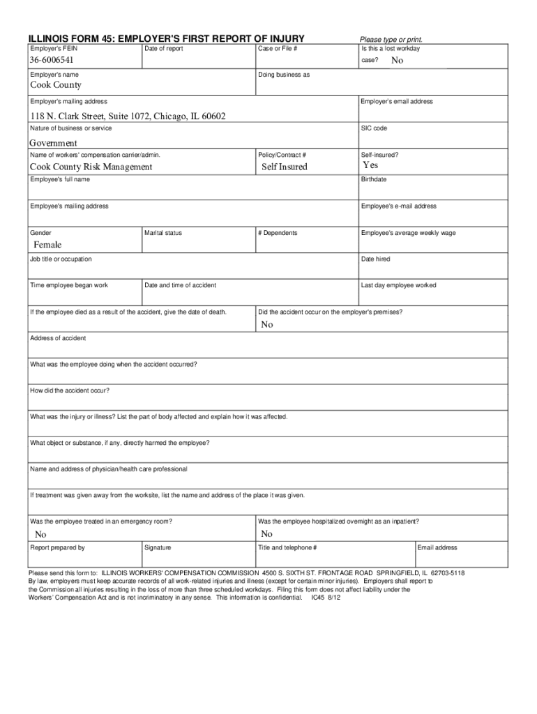 Fillable Online ILLINOIS FORM 45: EMPLOYER'S FIRST REPORT OF INJURY ...