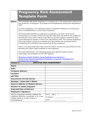 Pregnancy Risk Assessment Template - 20+ Samples & Examples Doc ...