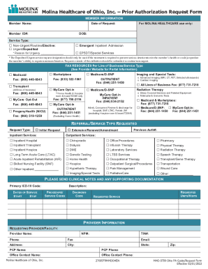 Fillable Online Ohio Prior Authorization Request Form. Prior ...