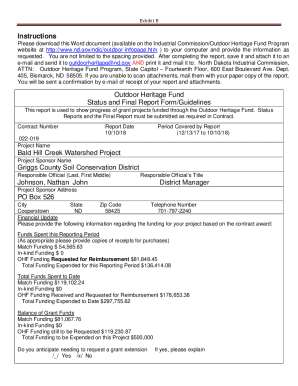 Fillable Online Reports and the Final Report must be submitted as ...