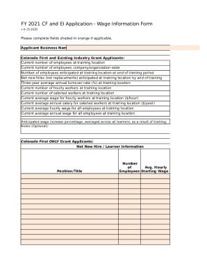Fillable Online FY 2021 CF and EI Application - Wage Information Form ...