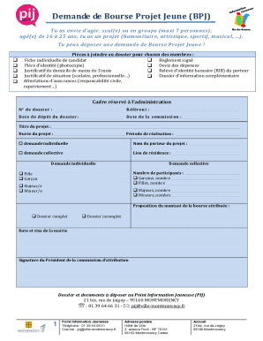Fillable Online Demande de Bourse Projet Jeune (BPJ) - Ville de ...