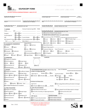 Fillable Online bccancer bc Colposcopy Form40130ACTIVE2021117 ...