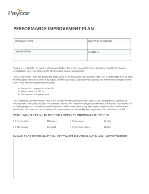Fillable Online Sample Performance Improvement Plan Template ...