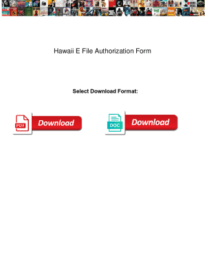 Fillable Online Hawaii E File Authorization Form. Hawaii E File Authorization Form systems Fax ...