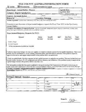 Fillable Online NYE COUNTY AGENDA INFORMATION FORM IJ Action I1 ... Fax ...