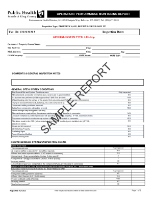 Fillable Online SAMPLE REPORT - King County, Washington Fax Email Print - pdfFiller