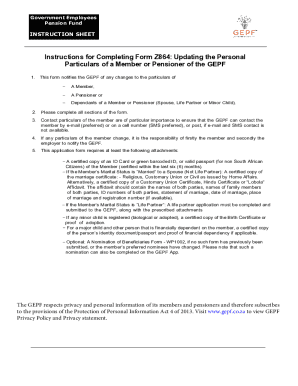 Fillable Online cdn.cocodoc.com20366376-fillable-z864-formInstructions ...