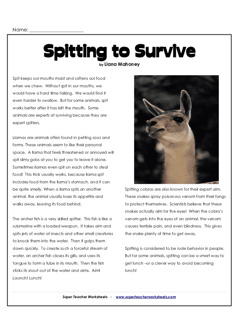 Fillable Online secure1 nbed nb www.superteacherworksheets.comreading ...