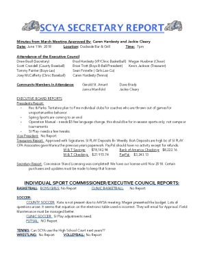 Fillable Online SCYA SECRETARY REPORT - AWS Fax Email Print - pdfFiller