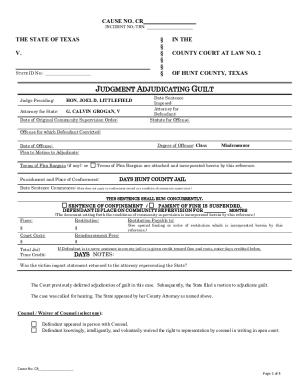 Fillable Online THE STATE OF TEXASIN THE V.COUNTY COURT AT LAW NO. 2NOF ...