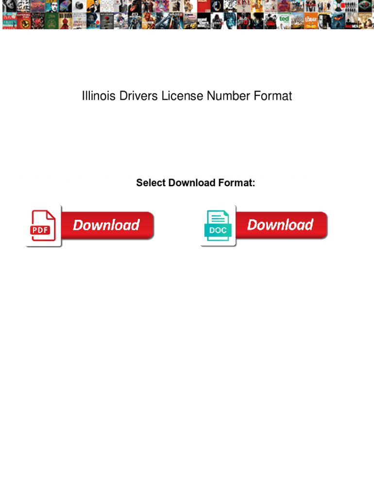 Fillable Online Illinois Drivers License Number Format. Illinois ...
