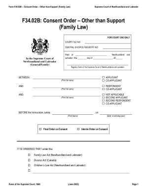 Fillable Online www.coursehero.comfile78643395F34.02A - Consent Order - Support (Template).docx ...