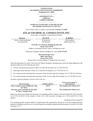 Fillable Online AMENDMENT NO. 1 TO FORM F-3 - sec.gov Fax Email Print ...