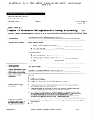 Fillable Online Chapter 15 Petition for Recognition of a Foreign ...
