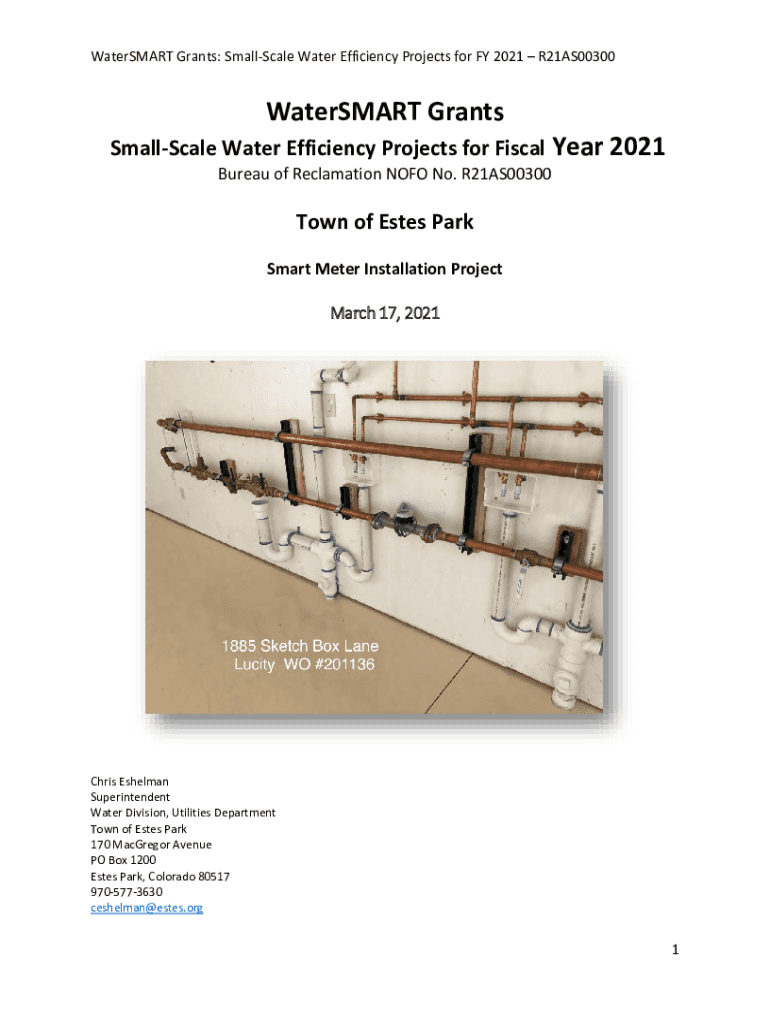 Fillable Online Town of Estes Park - Smart Meter Installation Project ...