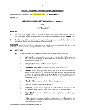 Fillable Online Principal Consultant/Professional Services Agreement ...