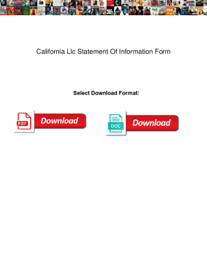 Fillable Online California Llc Statement Of Information Form ...