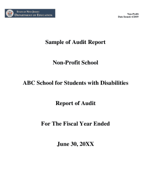 Fillable Online Sample of Audit Report Non-Profit School ABC School for ...
