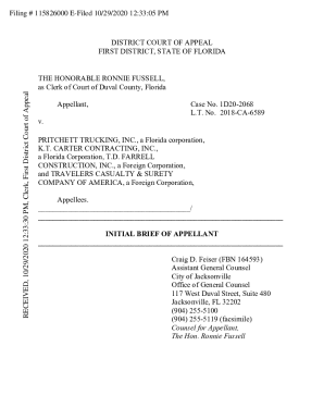 Fillable Online www.myflcourtaccess.com Fax Email Print - pdfFiller