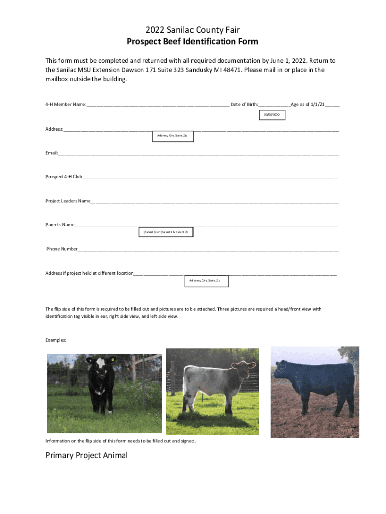 Fillable Online 2022 Sanilac County Fair Prospect Beef Identification ...